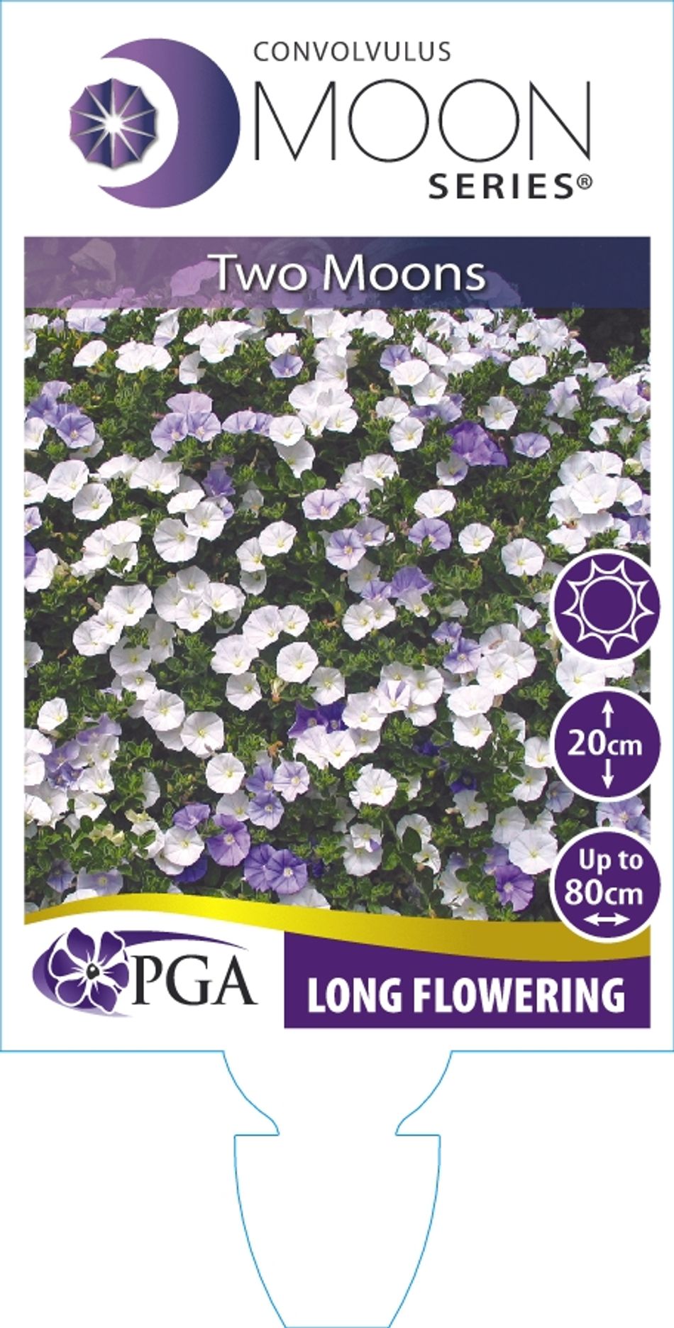 Domus Nursery - West Australian Plant Wholesaler