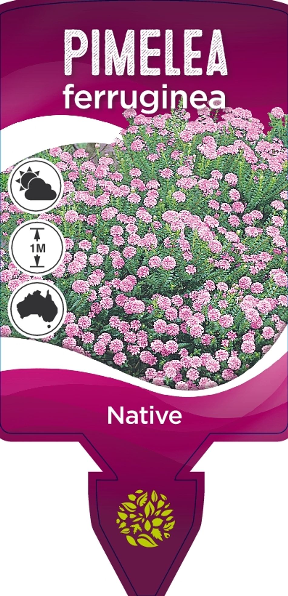 Domus Nursery - West Australian Plant Wholesaler