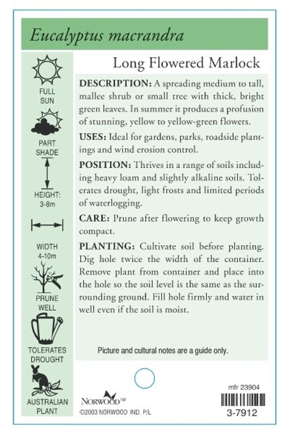 Domus Nursery - West Australian Plant Wholesaler